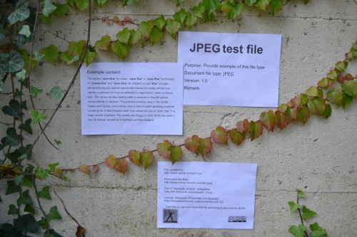 JPEG File Extension Information